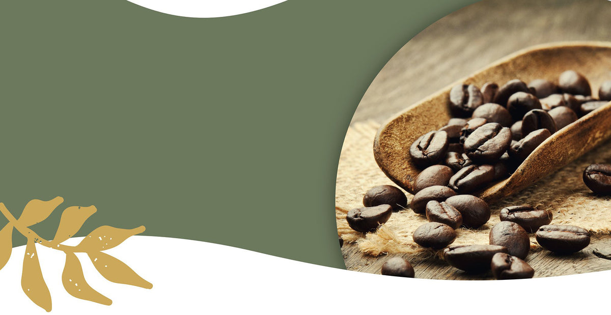 Enjoy Ethically Sourced Premium Organic Coffee From Thailand – Mai Thai ...