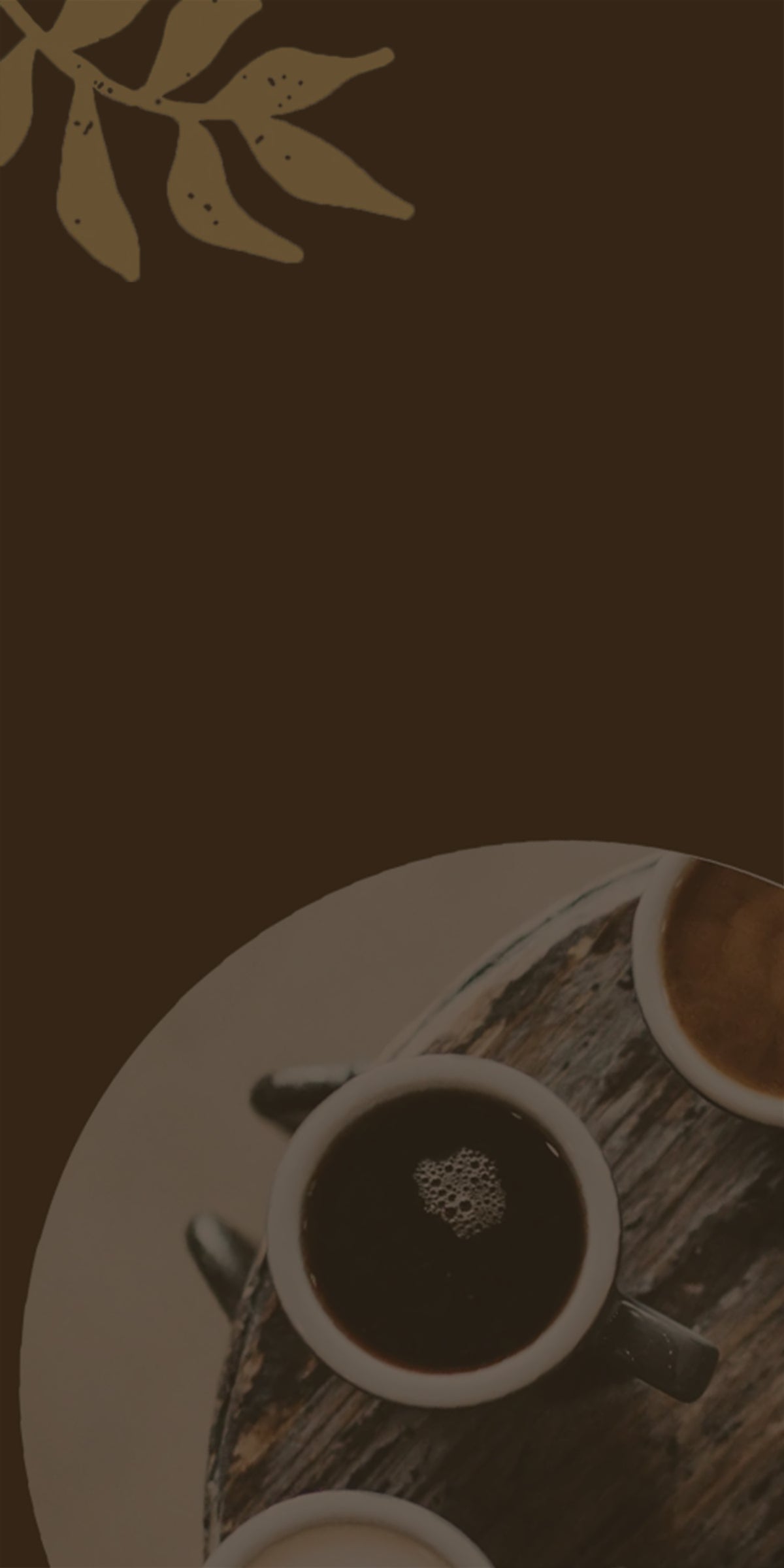 Enjoy Ethically Sourced Premium Organic Coffee From Thailand – Mai Thai ...